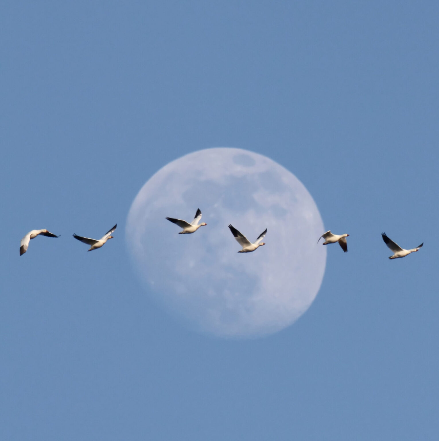 Online Courses – Astro Logos